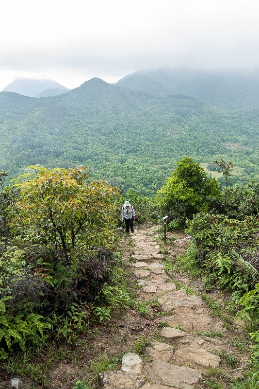 活動 - 相片集 - 2015年度之活動 - 「專資遠足XI」北潭凹至深涌 - HKPASEA 香港專業及資深行政人員協會